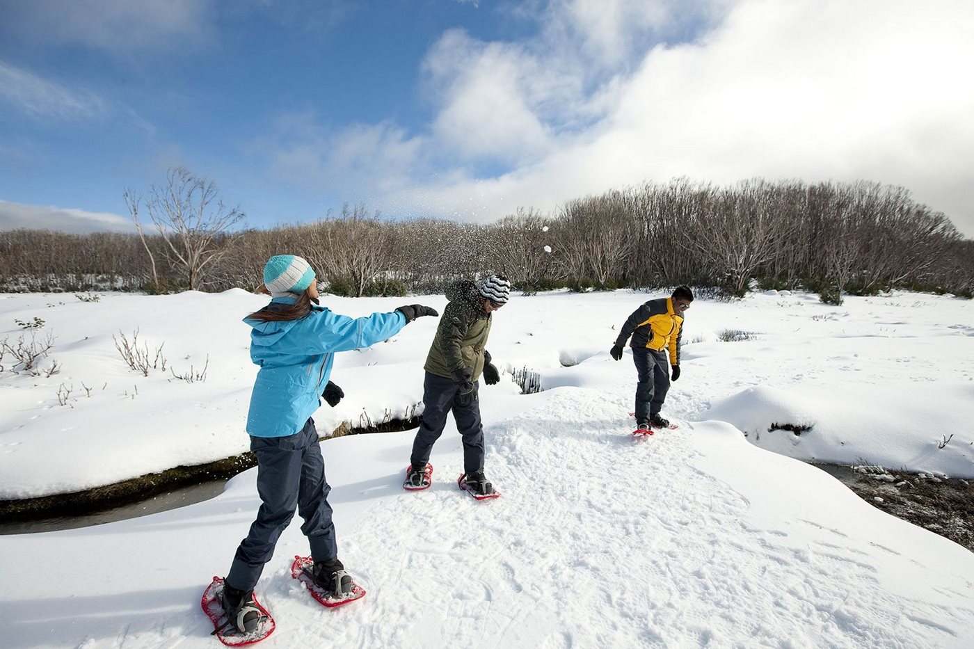 Melbourne Snow Tour | Snow Trips Victoria